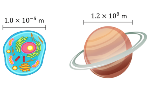 Scientific Notation - Examples and Practice Problems - Neurochispas