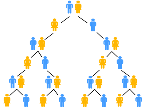 Applications of Exponential Functions - Neurochispas