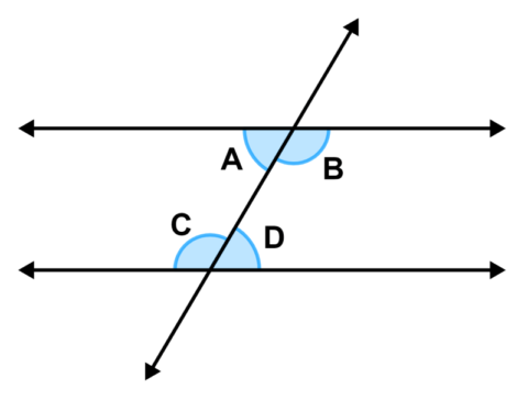 Alternate Interior Angles - Definition and Examples - Neurochispas