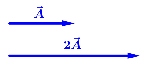 Multiplying a Vector by a Scalar with Examples - Neurochispas